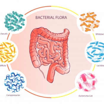 Flora Usus, Kunci Tingkatkan Imun Tubuh Anak