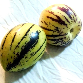 Buah Pepino, Segar Kaya Manfaat