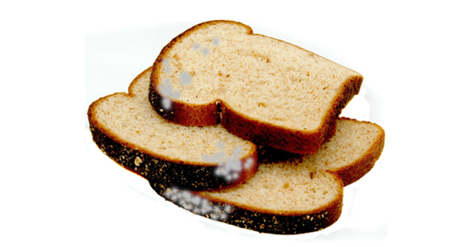 Jamur di Roti. Bahaya, lho!